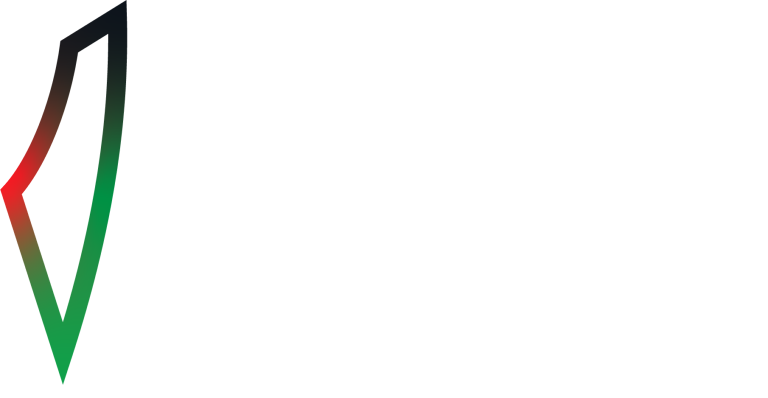 Free Palestine Party